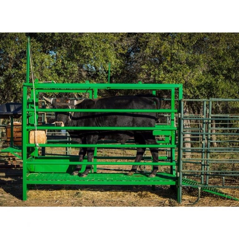 Official Collection Chute Help Exit Stripping Chute With Ramp - Green ...